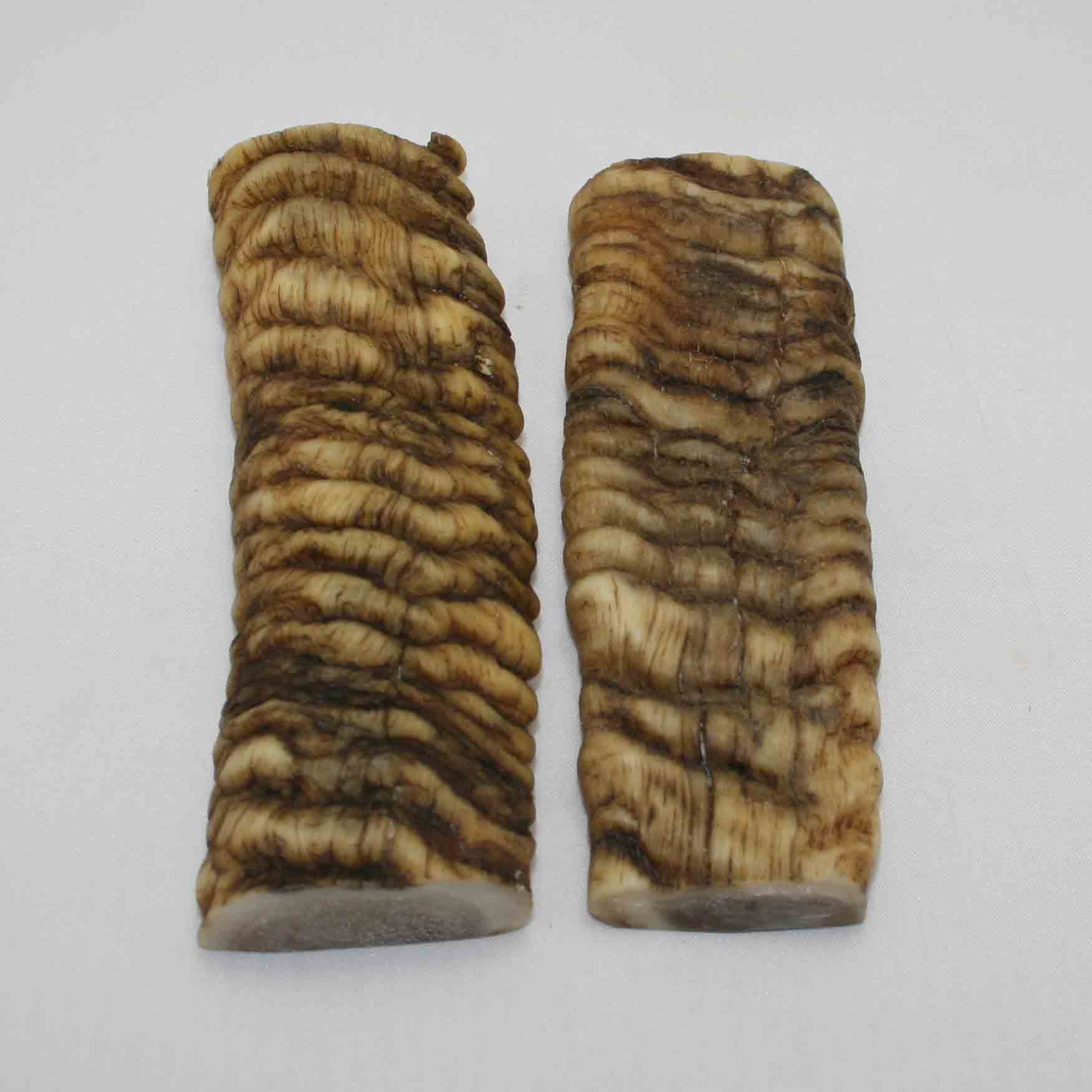 NB901LG3 Merino Ram's Horn Flat Block Scales - Jantz Supply