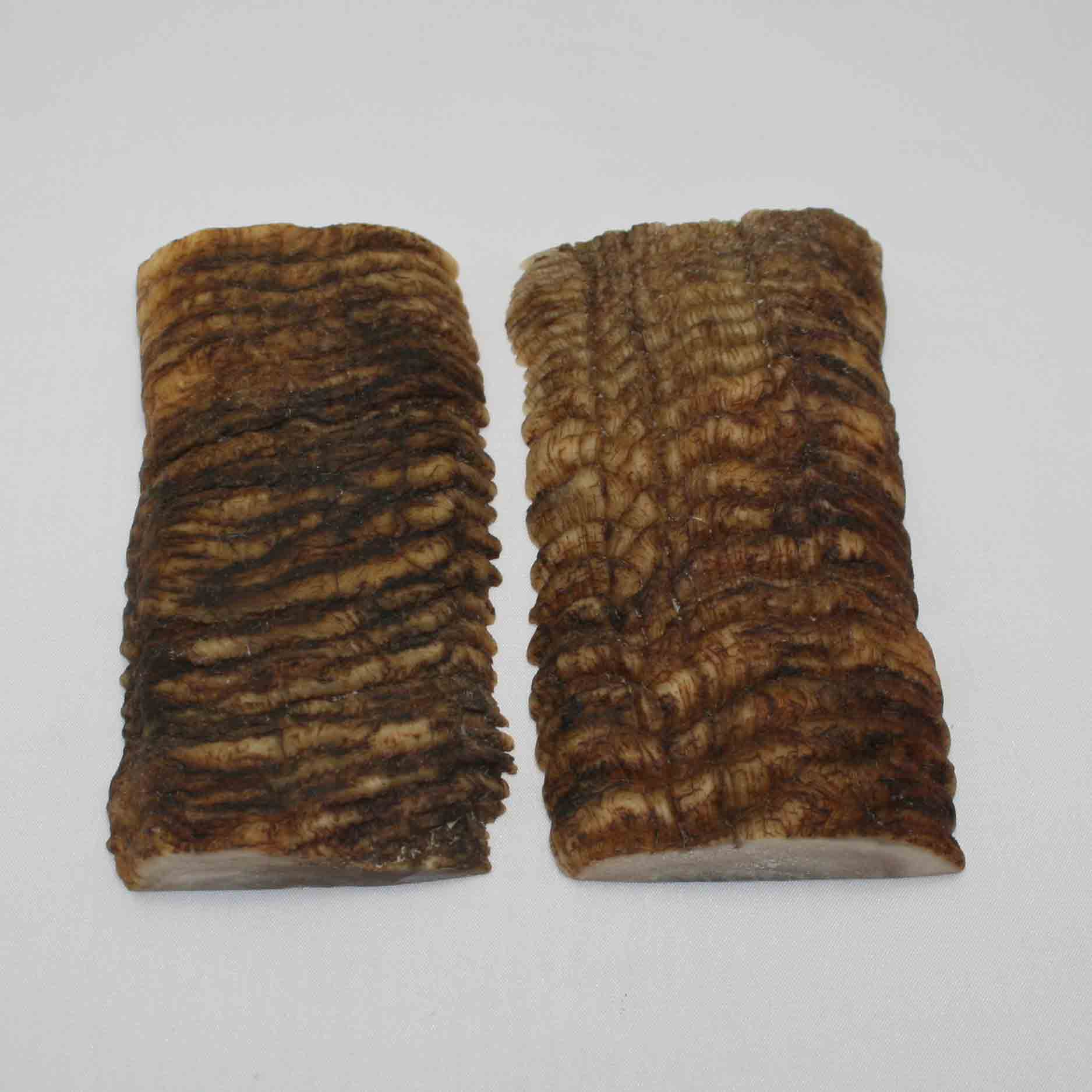 NB902LG27 Merino Ram Horn Scales LARGE - Jantz Supply