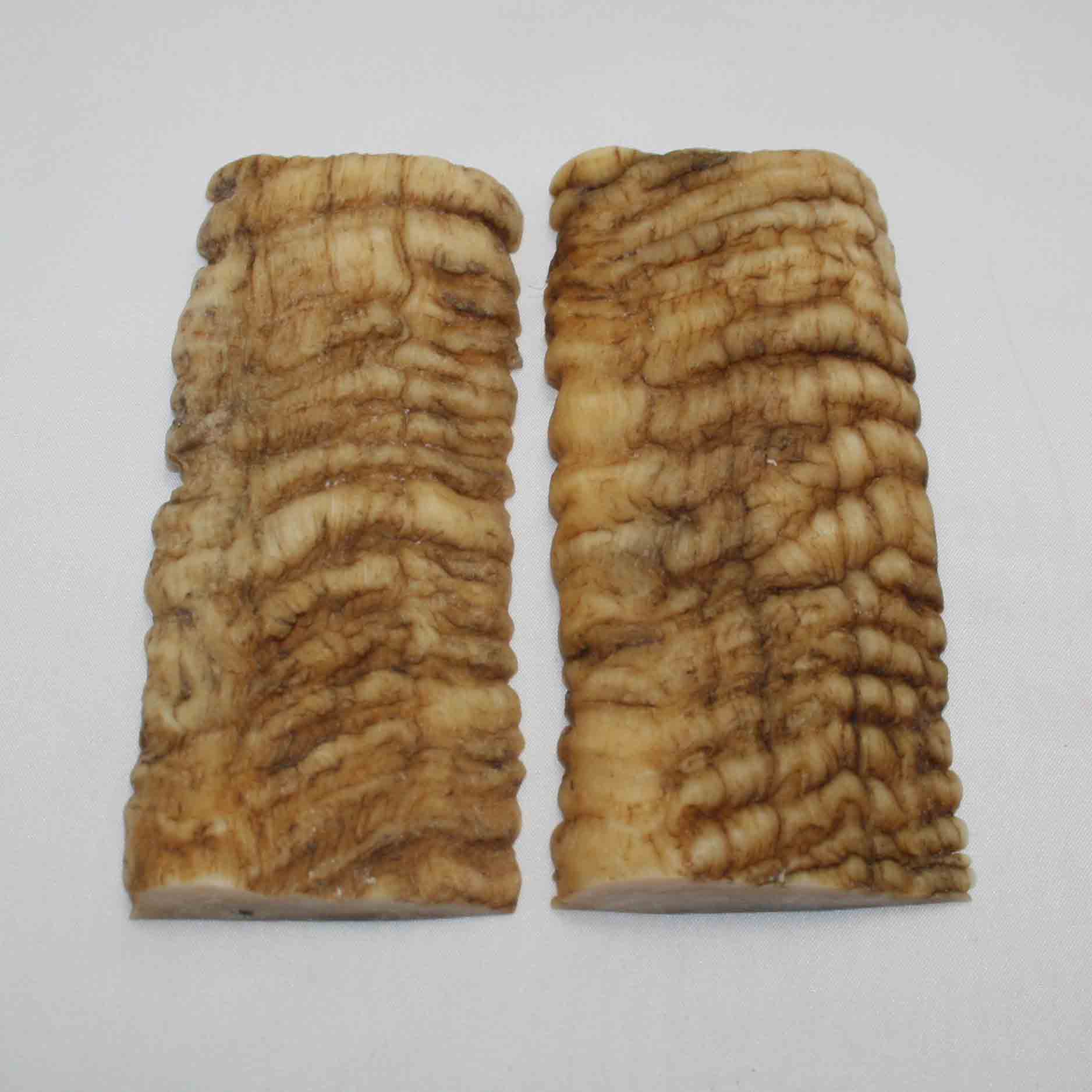 NB902LG35 Merino Ram Horn Scales LARGE - Jantz Supply