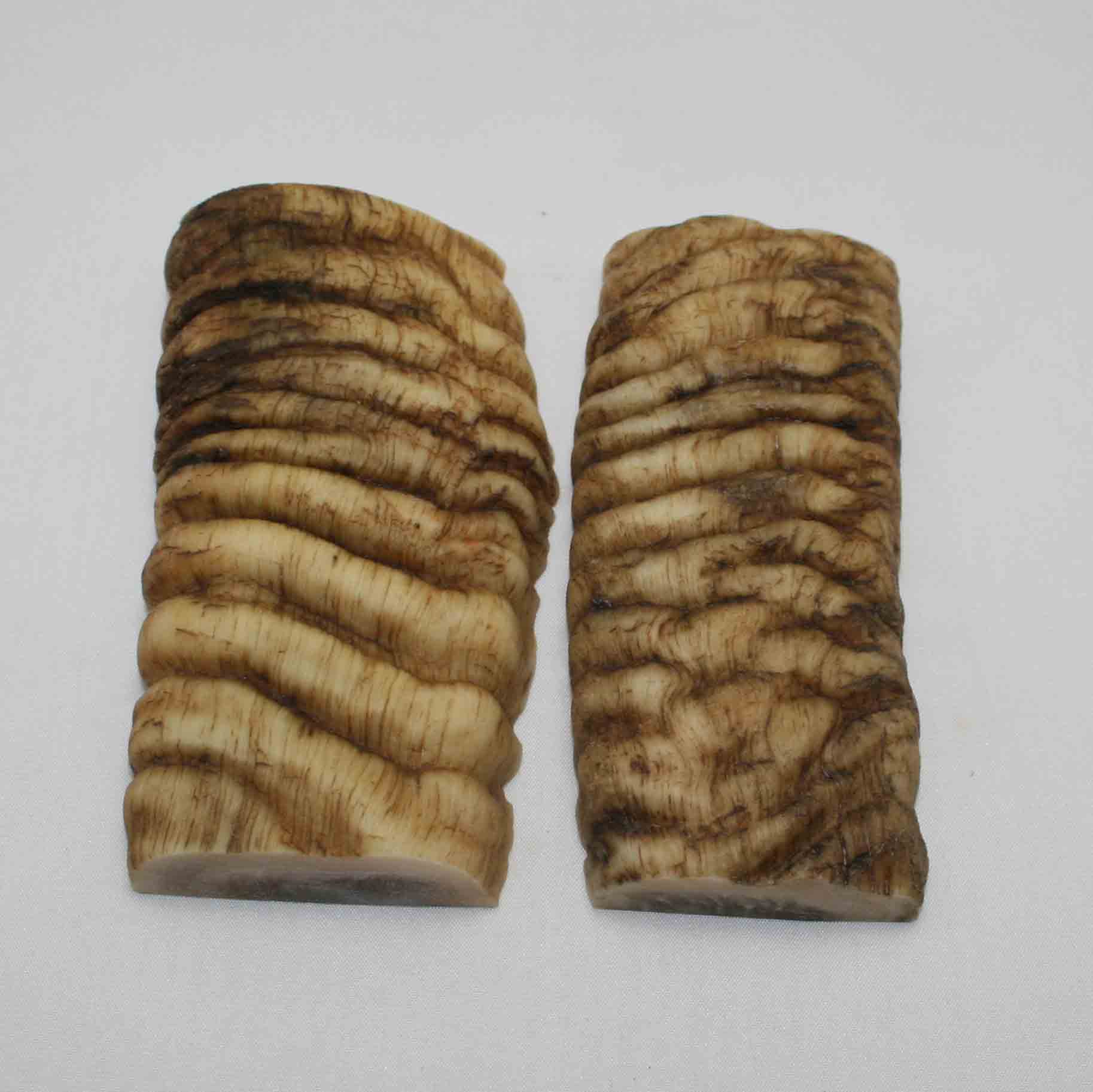 NB902LG37 Merino Ram Horn Scales LARGE - Jantz Supply