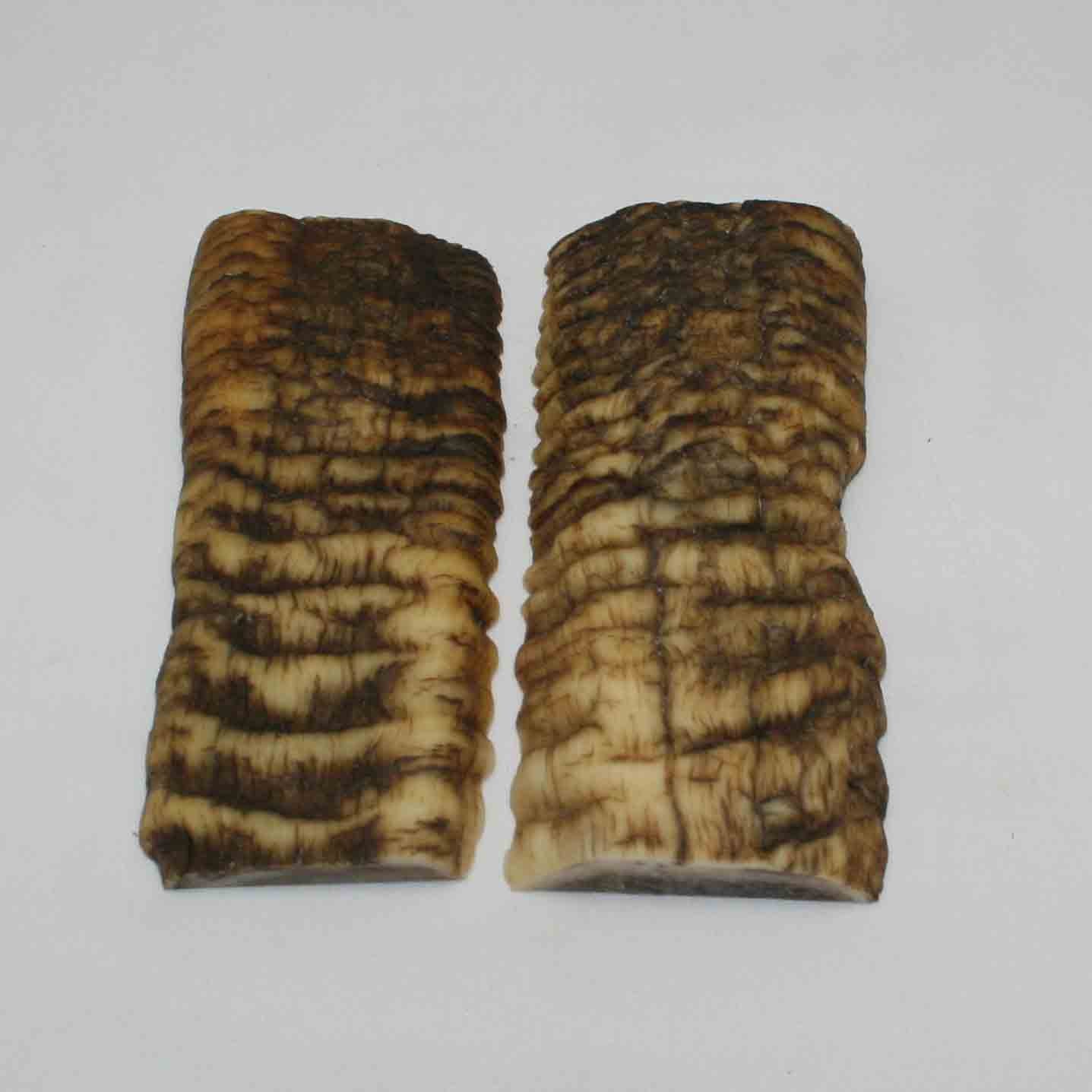 NB902LG4 Merino Ram Horn Scales LARGE - Jantz Supply