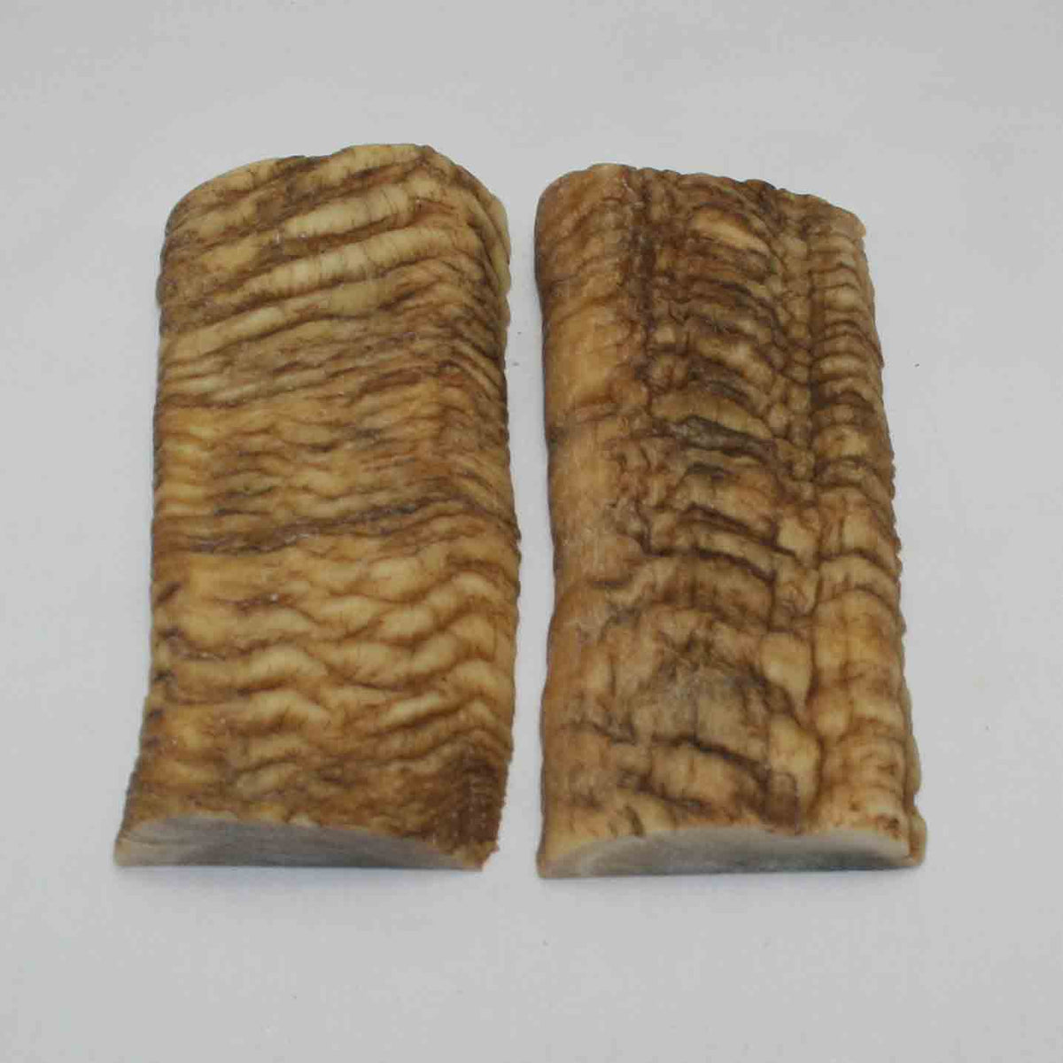 NB902LG5 Merino Ram Horn Scales LARGE - Jantz Supply